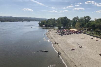 Među SNS provokatorima u Novom Sadu i Marko Bosanac Boske, udario ...