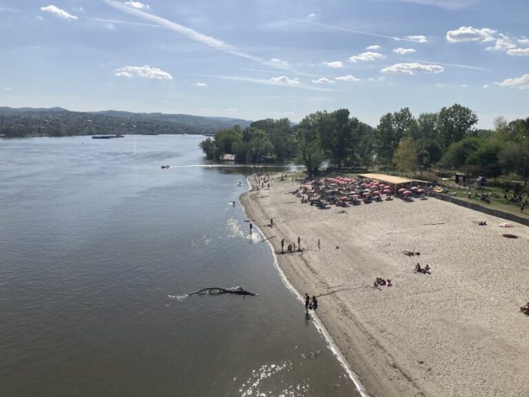 Očekuje se drastičan rast nivoa Dunava u Novom Sadu i plavljenje ...